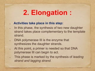 Dna Replication In Prokaryotes | PPTX