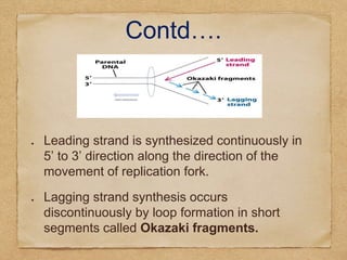 Dna Replication In Prokaryotes | PPTX