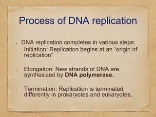 Dna Replication In Prokaryotes | PPTX