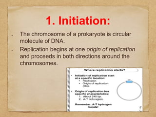 Dna Replication In Prokaryotes | PPTX