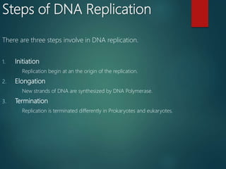 Dna replication in prokaryotes | PPTX