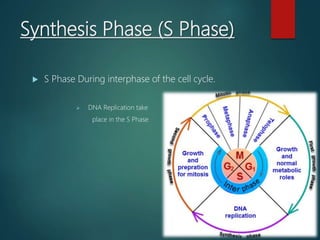 Dna replication in prokaryotes | PPTX