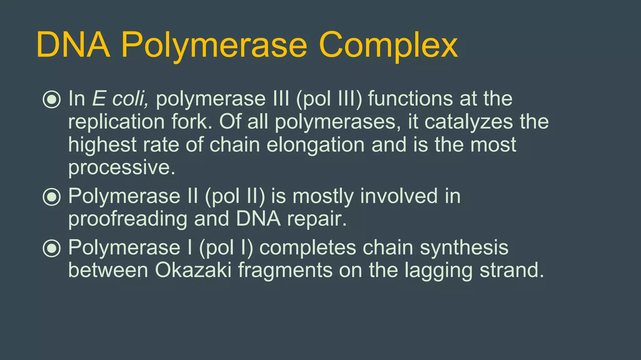 Dna replication in prokaryotes | PDF