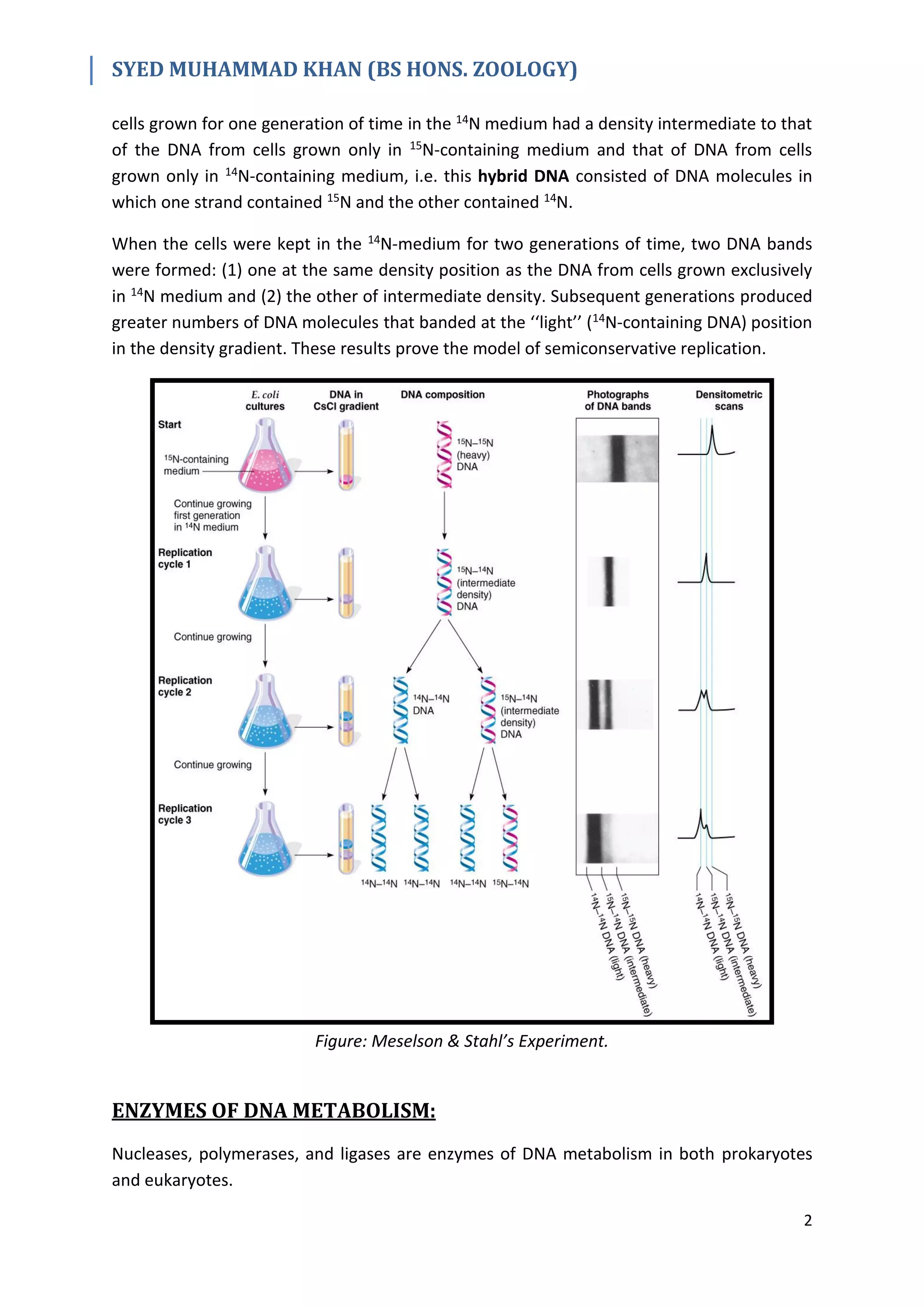 Dna Replication In Prokaryotes Pdf