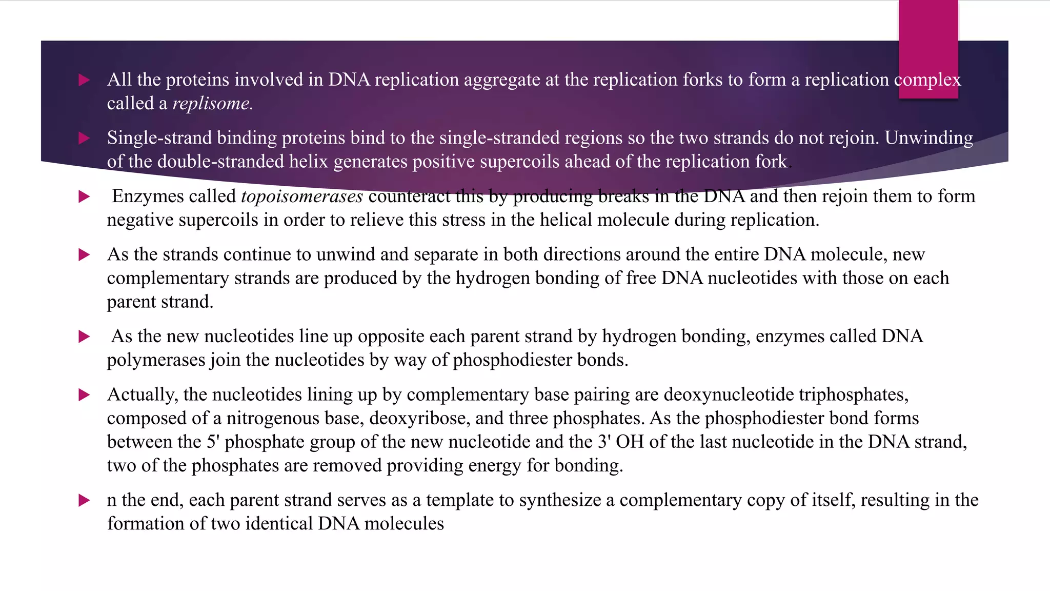 DNA REPLICATION IN PROKARYOTES.pptx