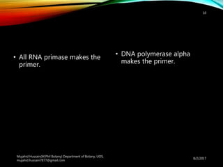 Comparison between Replication of Prokaryotes and Eukaryotes | PPT