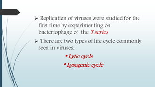 Dna replication in virus ppt | PPTX
