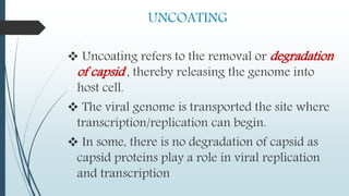 Dna replication in virus ppt | PPTX