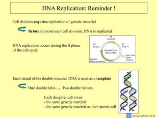 DNA | PPT