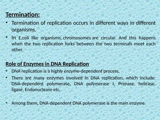 DNA Replication Lecture.pptx for biology students | PPT