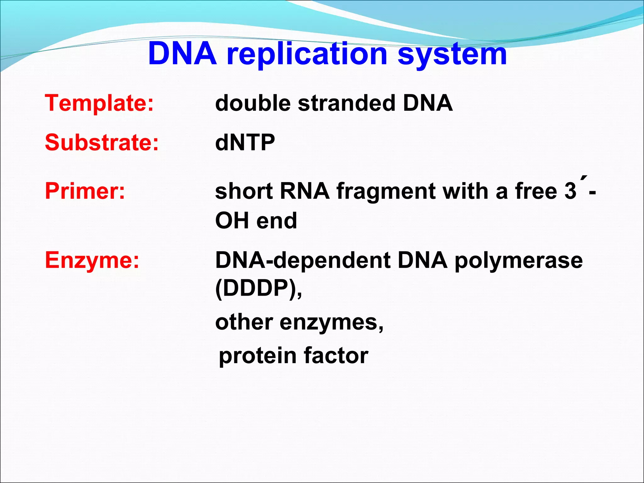 Dna replication lgis | PPT