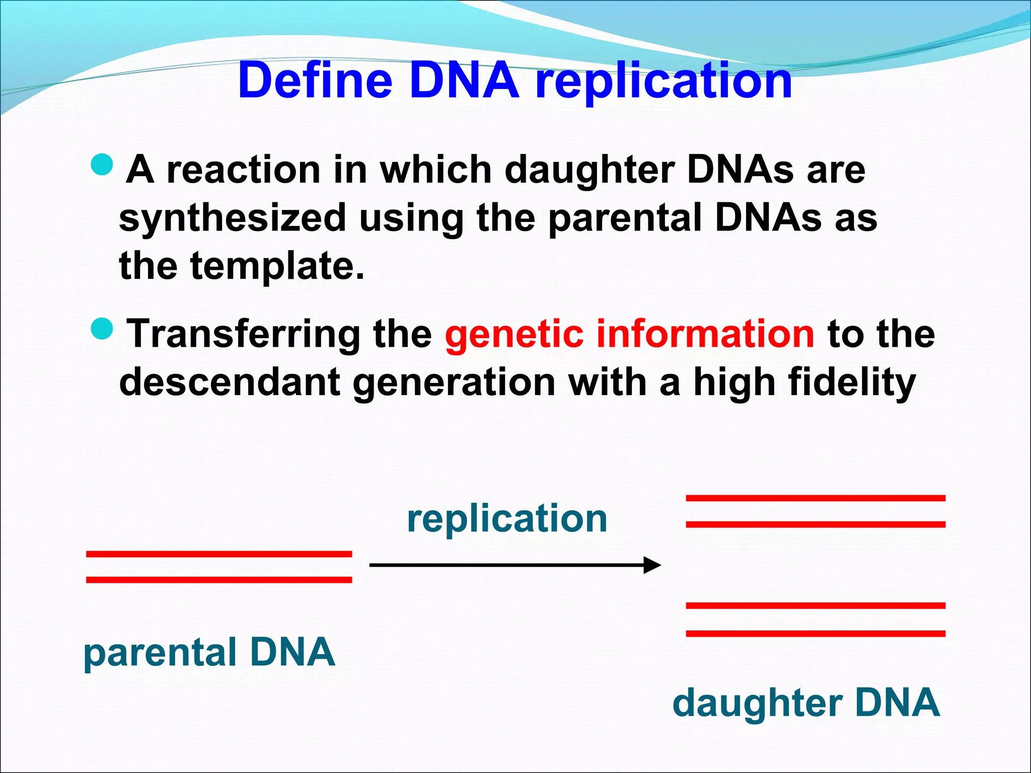 Dna replication lgis | PPT