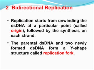 Dna replication lgis | PPT