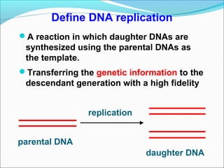 Dna Replication Definition