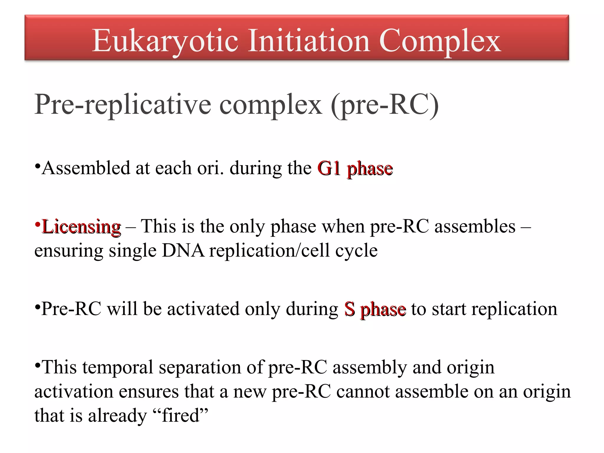 Dna replication | PPT
