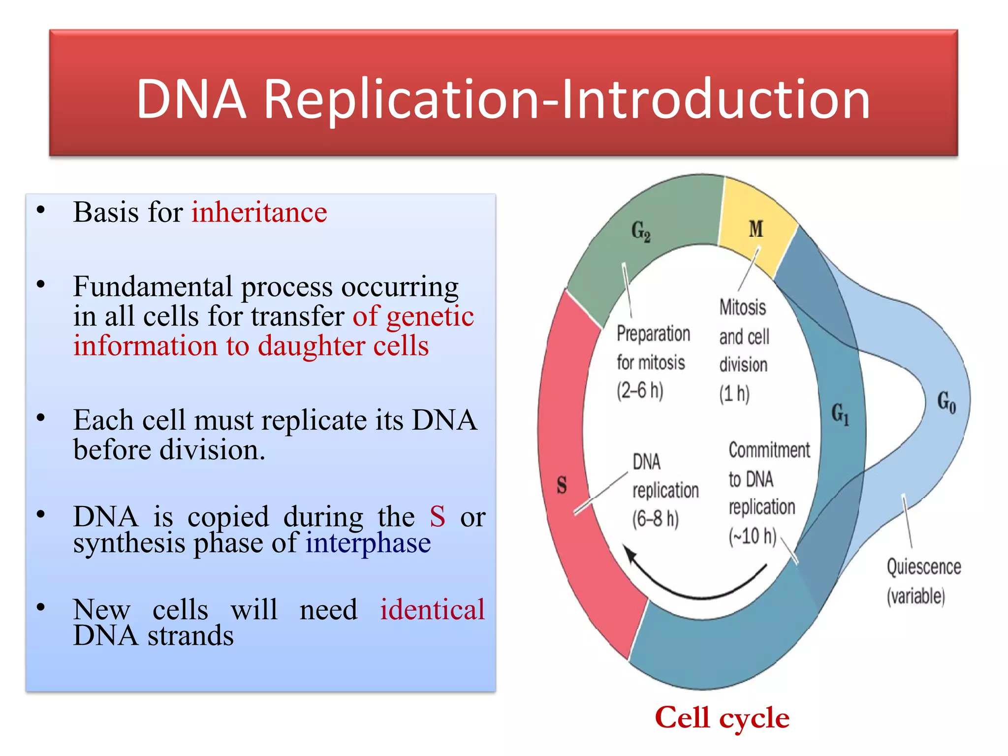 Dna replication | PPT