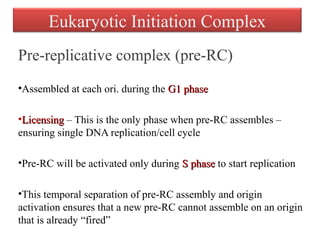 Dna replication | PPT