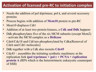 Dna replication | PPT