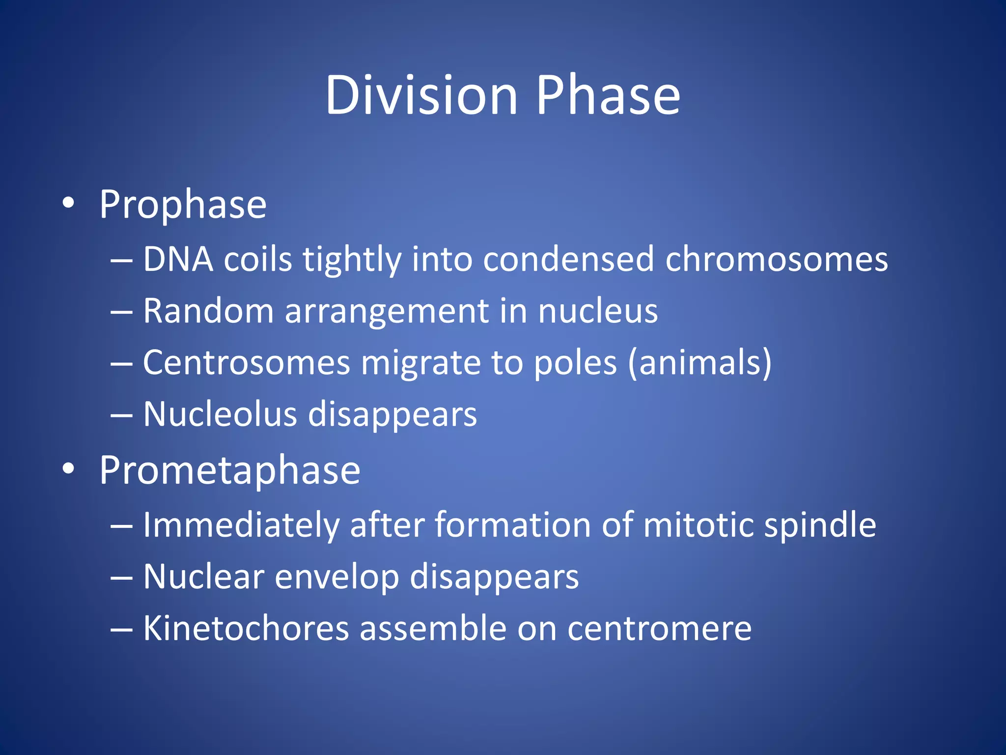 Dna replication, mitosis and the cell cycle | PPTX
