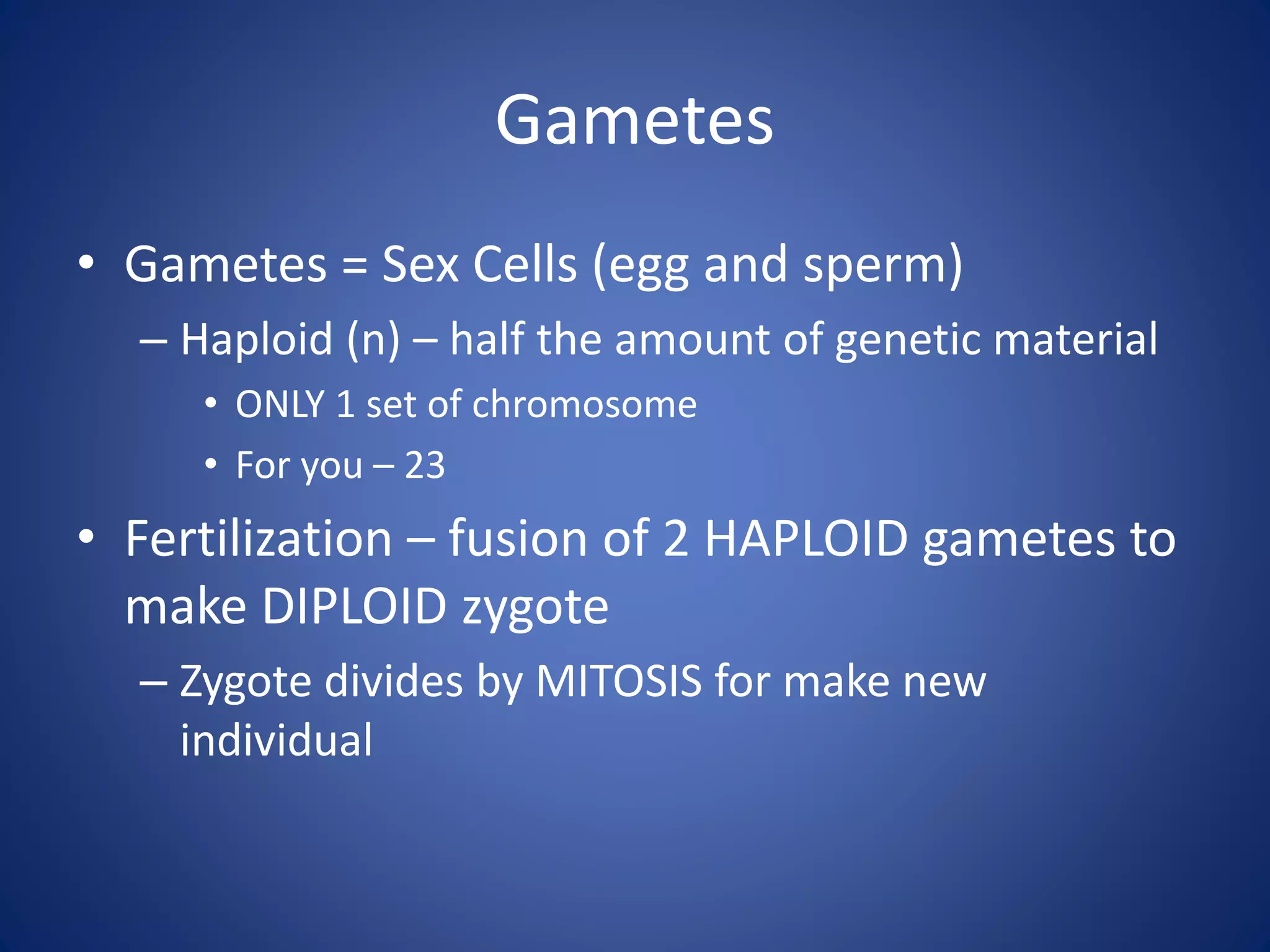 Dna replication, mitosis and the cell cycle | PPT