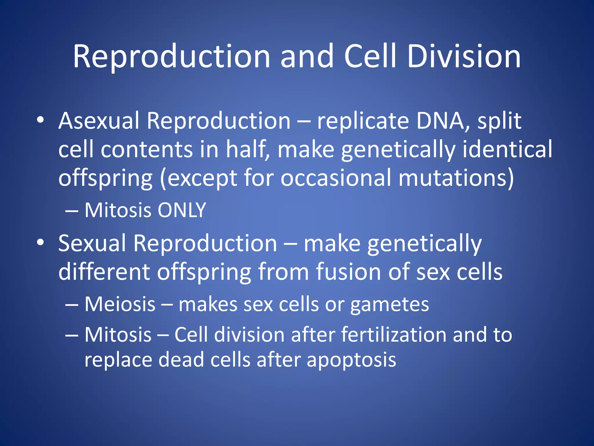 Dna replication, mitosis and the cell cycle | PPT