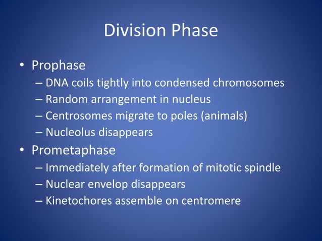 Dna replication, mitosis and the cell cycle | PPT