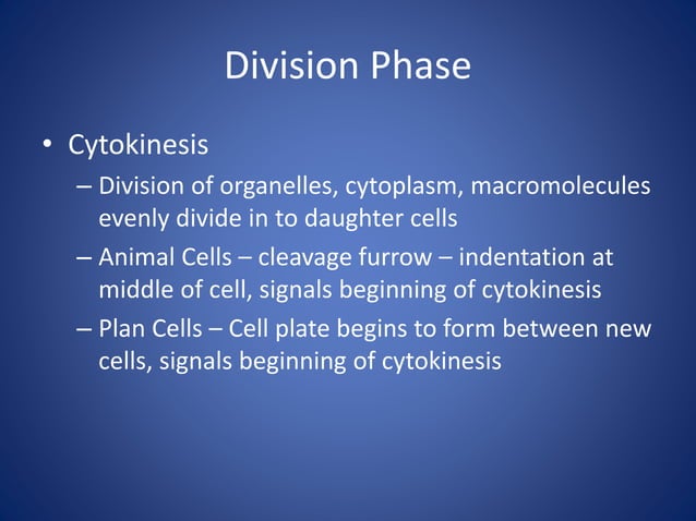Dna replication, mitosis and the cell cycle | PPT