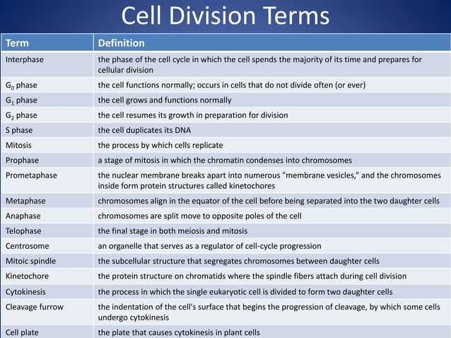 Dna replication, mitosis and the cell cycle | PPT