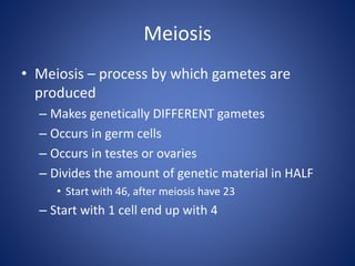 Dna replication, mitosis and the cell cycle | PPTX