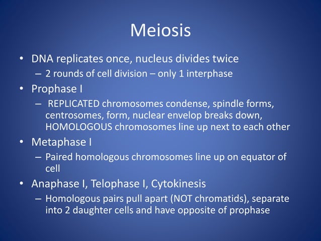 Dna replication, mitosis and the cell cycle | PPT