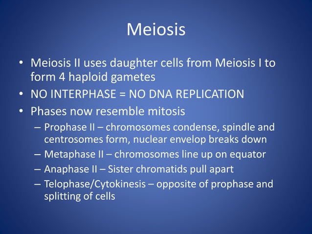 Dna replication, mitosis and the cell cycle | PPT
