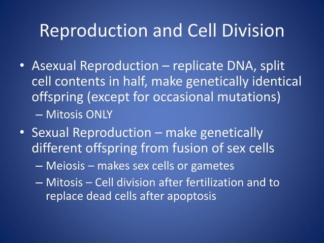 Dna replication, mitosis and the cell cycle | PPT