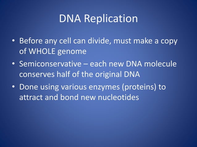 Dna replication, mitosis and the cell cycle | PPT