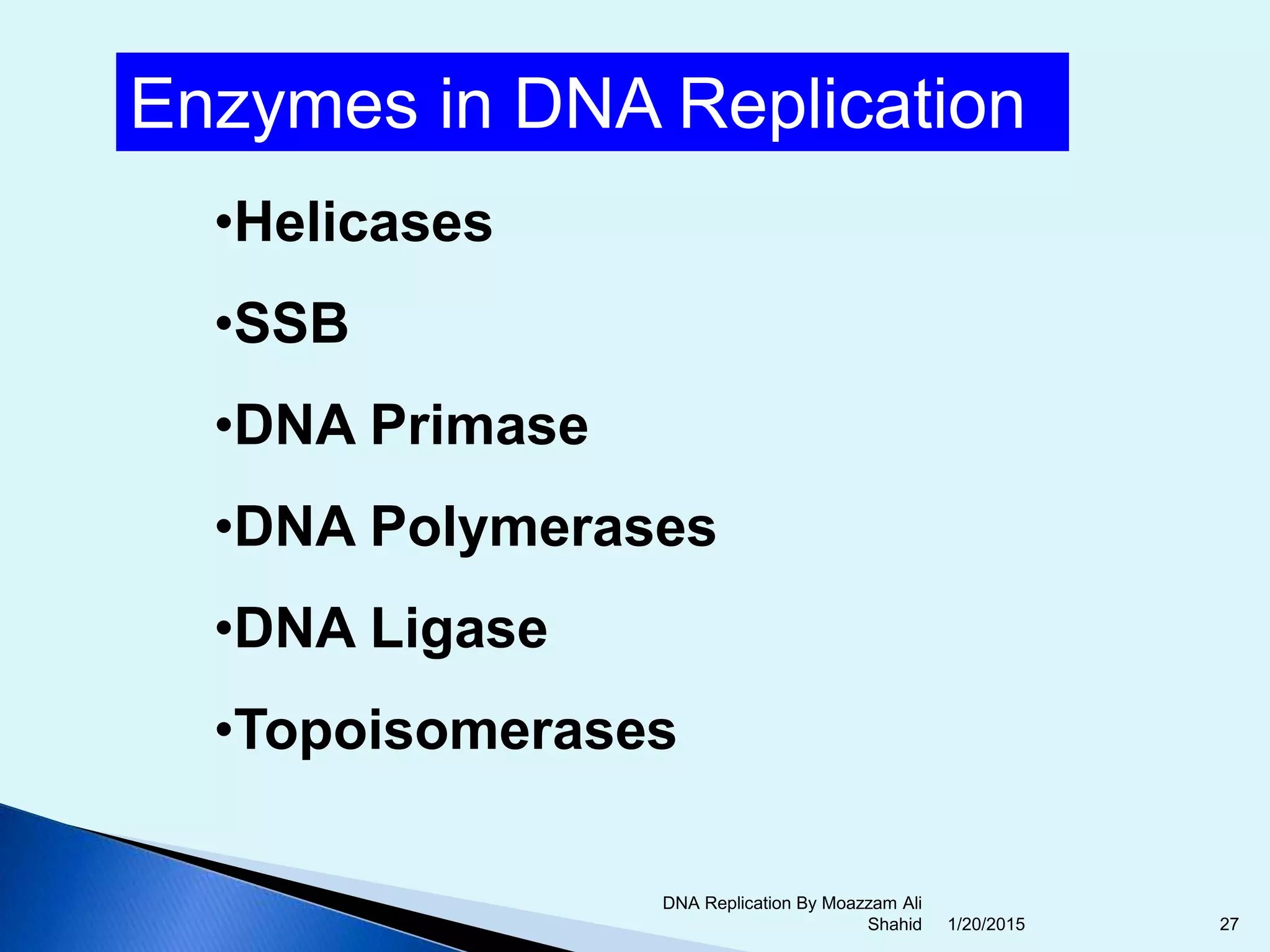 DNA replication by moazzam | PPTX