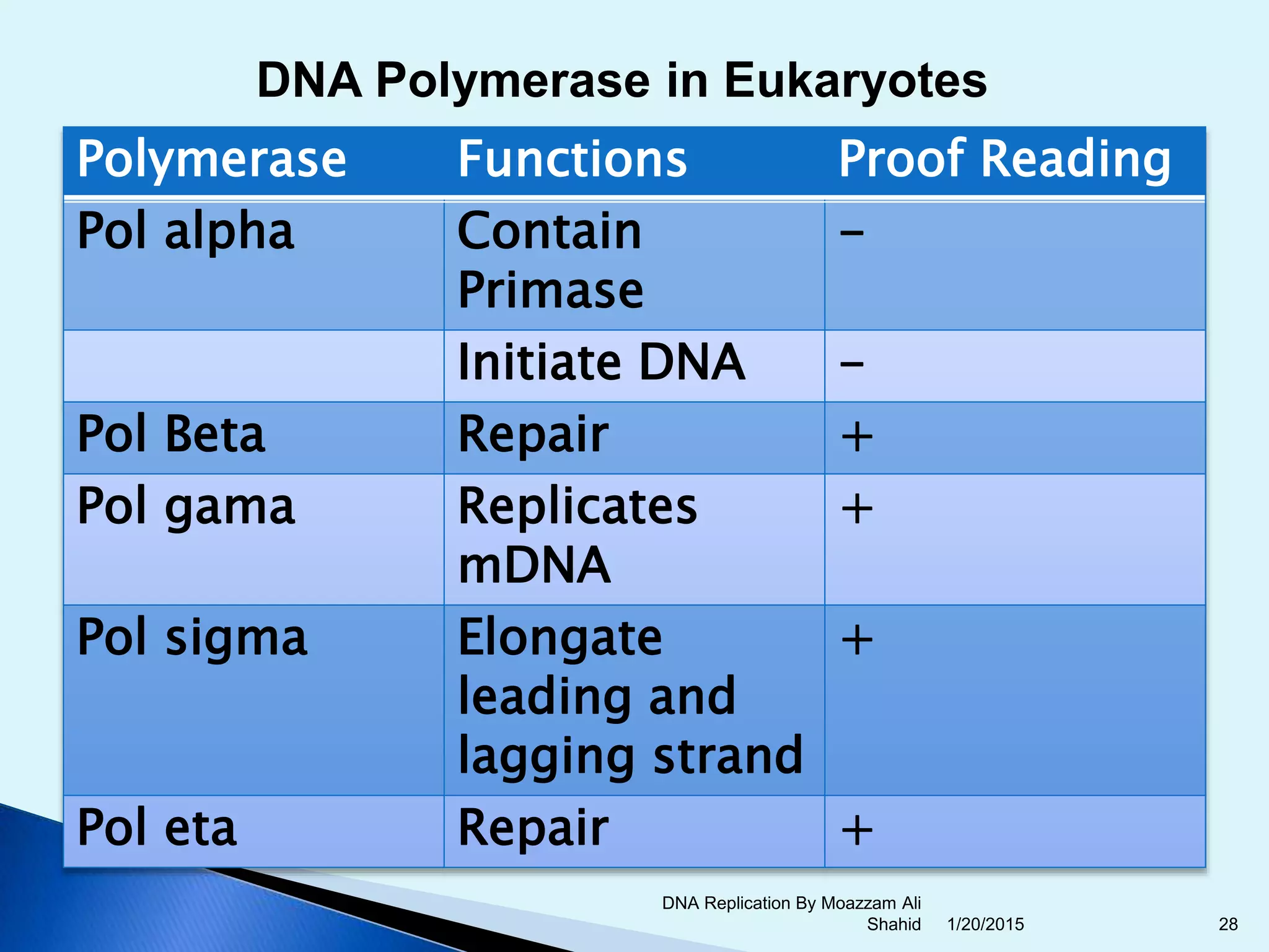 DNA replication by moazzam | PPTX
