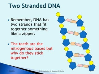 DNA replication by moazzam | PPT