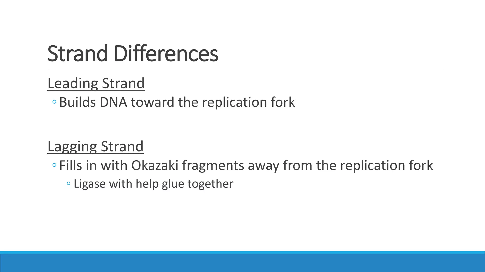 Dna Replication Notes | PPTX