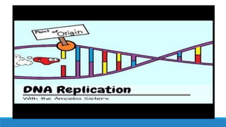 Dna Replication Notes | PPTX