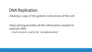 Dna Replication Notes | PPTX