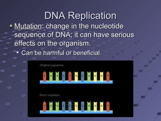 DNA Replication Notes | PPT
