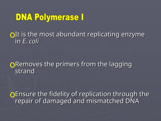 DNA replication (P4) (2) (1).ppt........ | PPT