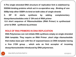 Dna replication part ii | PPT