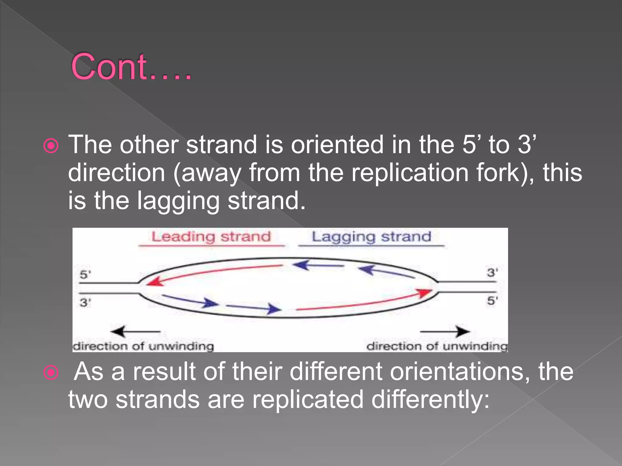 Dna replication ppt | PPTX