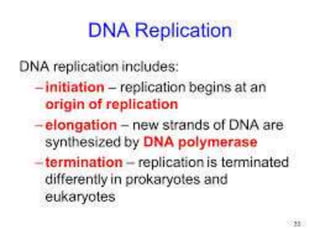 Dna replication ppt | PPTX | Chemistry | Science