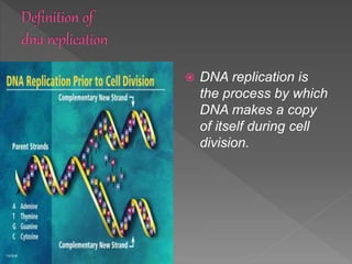 Dna replication ppt | PPTX