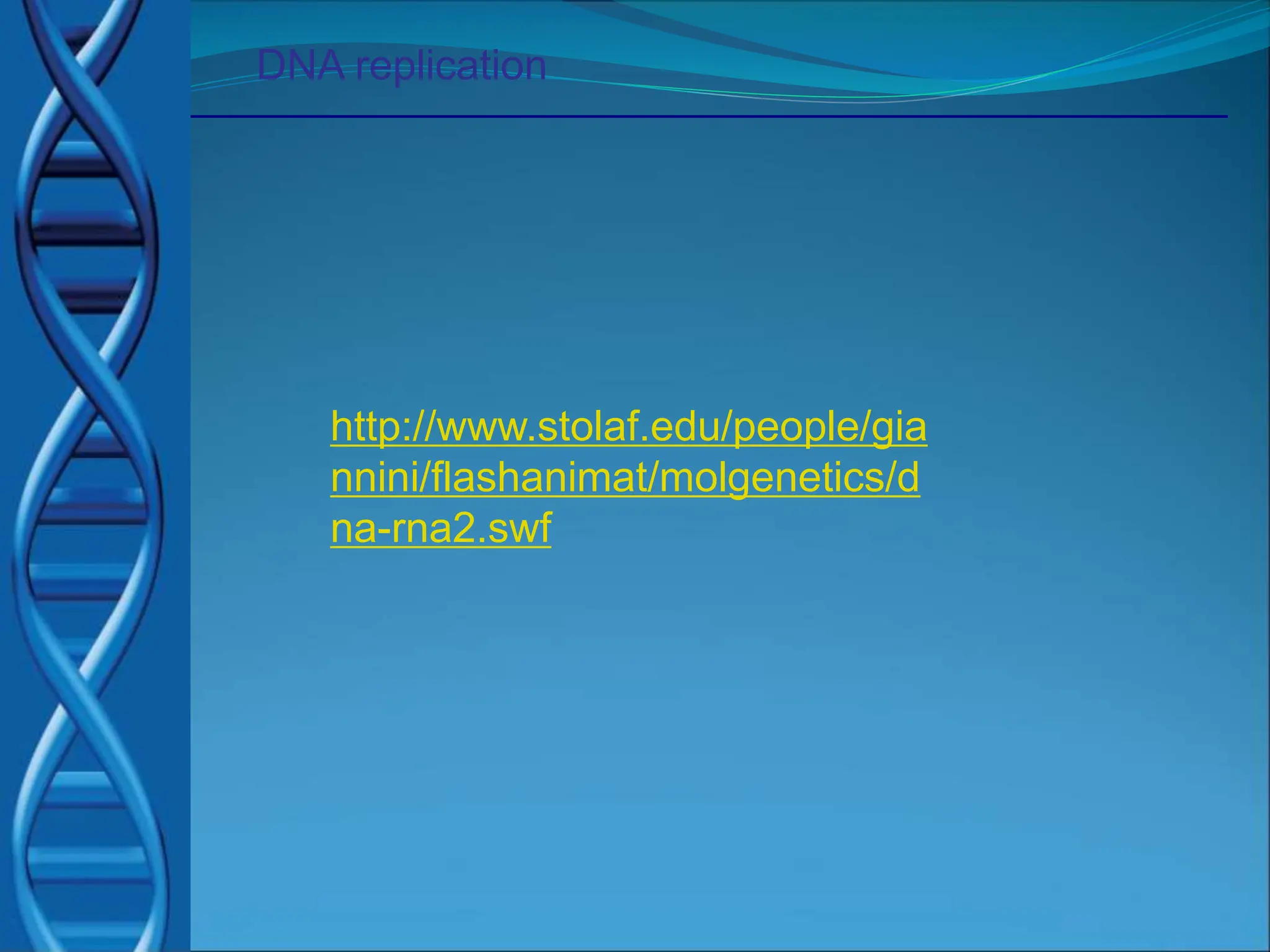 DNA_Replication_ppt.pptpppppppppppppppppppp | PPT