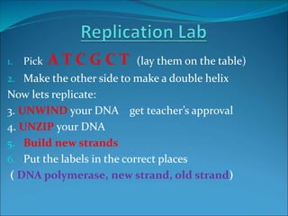 DNA_Replication_ppt.pptpppppppppppppppppppp | PPT
