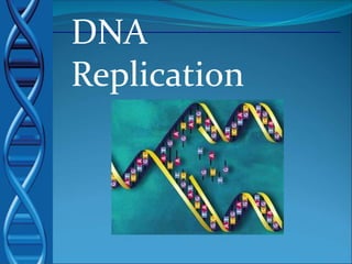 DNA_Replication_ppt.pptpppppppppppppppppppp | PPT