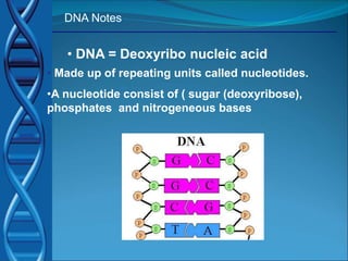 DNA_Replication_ppt.pptpppppppppppppppppppp | PPT