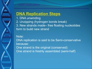 DNA_Replication_ppt.pptpppppppppppppppppppp | PPT